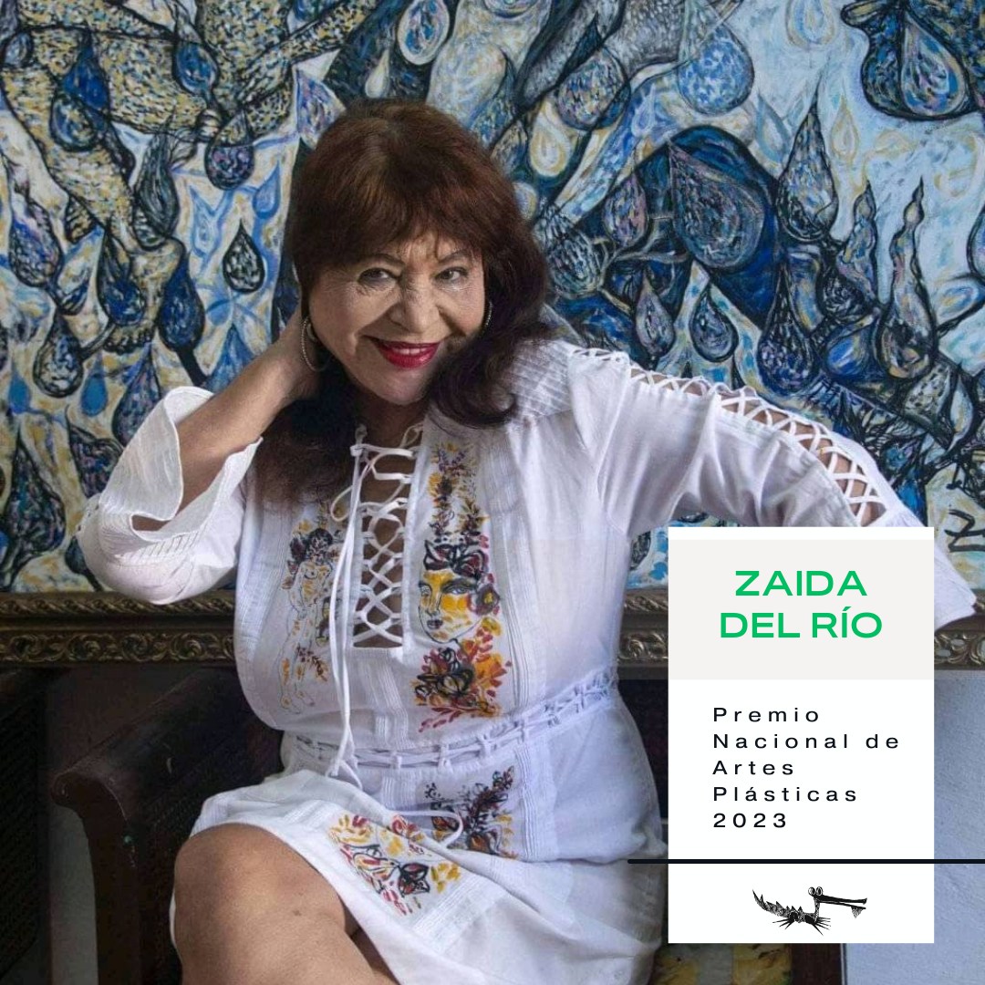 Zaida del Río recibió Premio Nacional de Artes Plásticas – Cubavisión ...